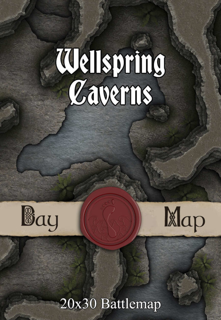40x30 D&D Battlemap - Wellspring Caverns • Seafoot Games